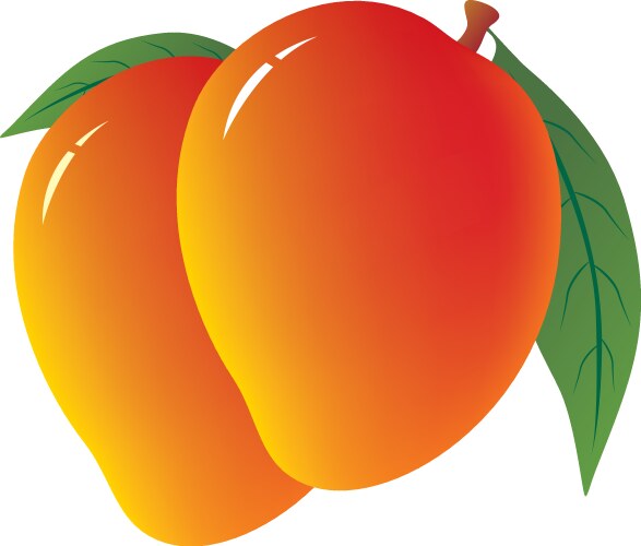 Mango Vector Images (over 22,000)