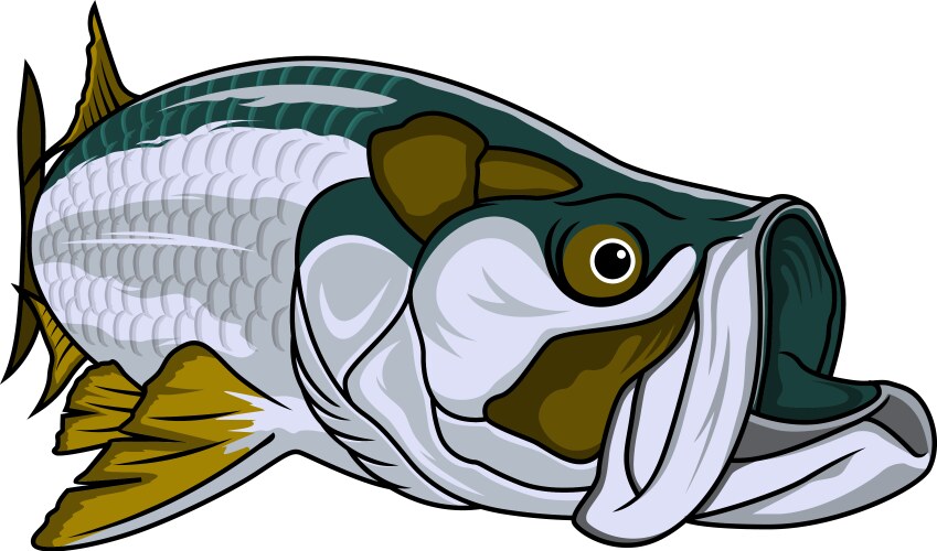 Tarpon Logo FAQ DIALOG Tarpon Offshore Platforms