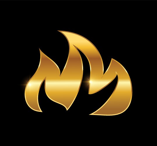 Golden luxury fire icon Royalty Free Vector Image