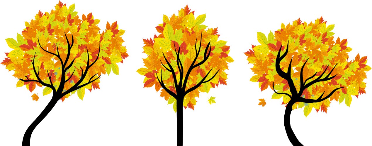Maple Tree Vector Images (over 46,000)