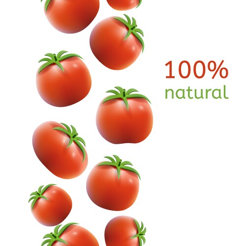 Tomatoes collection isolated Royalty Free Vector Image