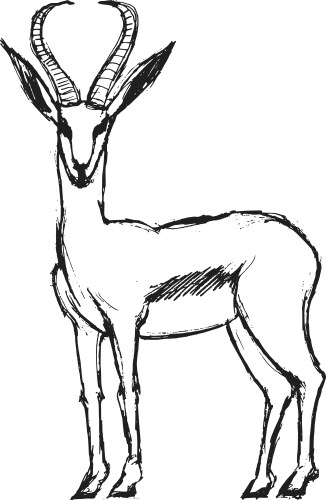 Gazelle line drawing black and white Royalty Free Vector