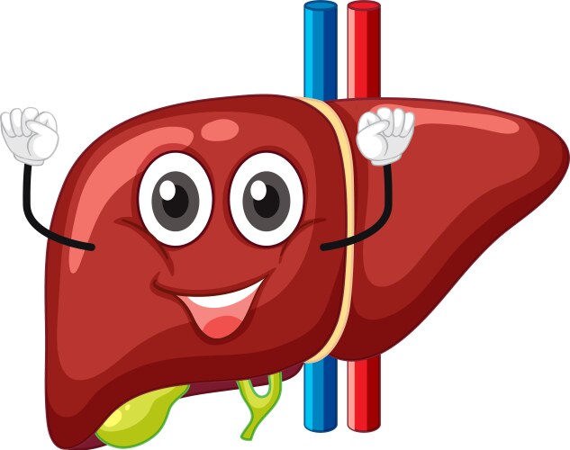 Liver Cartoon Vector Images (over 5,600)