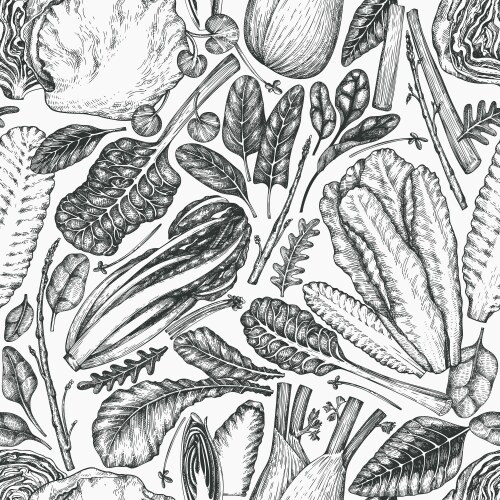 Green vegetable seamless pattern hand drawn Vector Image