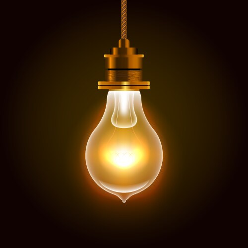 Retro light bulb on transparent background Vector Image