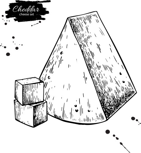 Emmental cheese drawing hand drawn food sketch Vector Image