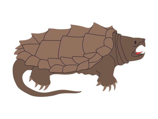 Snapping Turtle Vector Images (40)