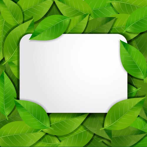 Green Border Frame Vector Images (over 83,000)