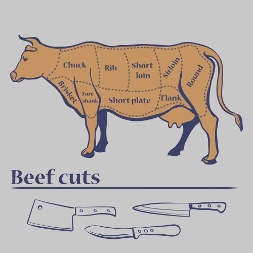 Cow Parts Vector Images (over 790)