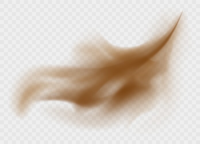 3d realistic dust cloud isolated on a transparent Vector Image