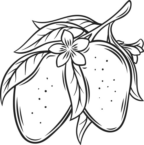 Mango Outline Vector Images (over 1,900)