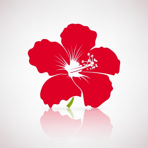 Hibiscus Vector Images (over 27,000)