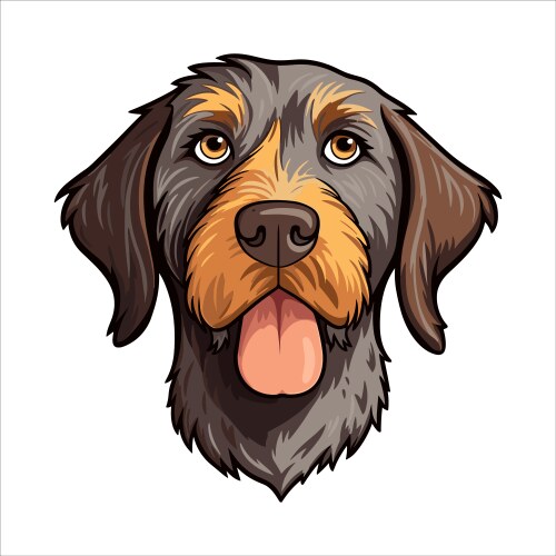 German shorthaired pointer Royalty Free Vector Image