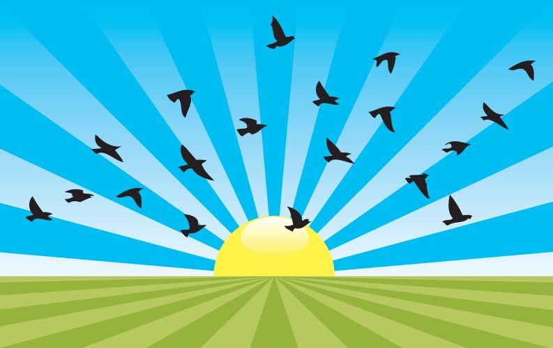 Abstract rural landscape with rising sun Vector Image