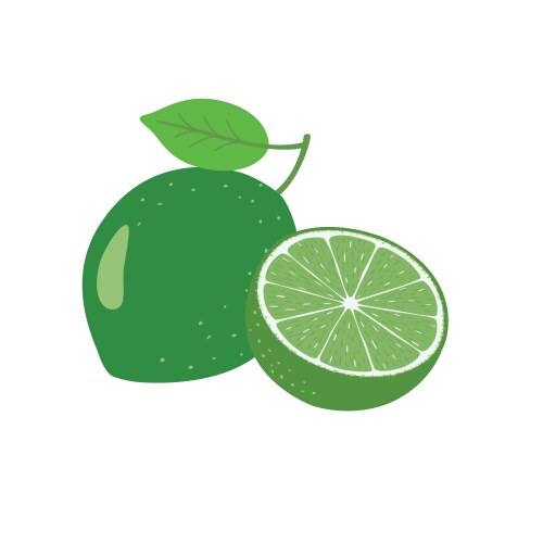 Lime Vector Images (over 220,000)