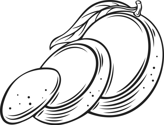 Mango Outline Vector Images (over 1,900)