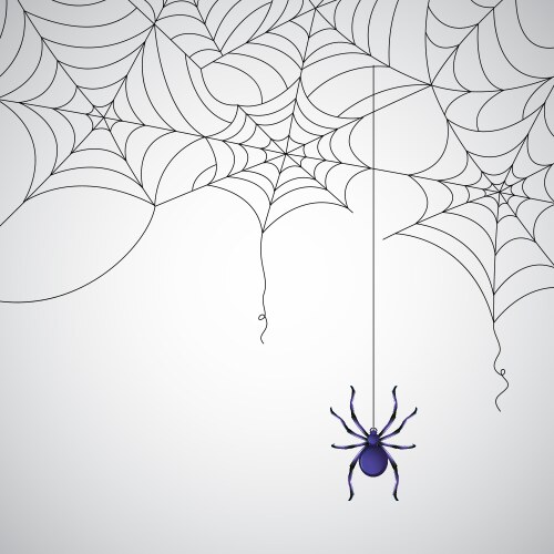 Spider Web Vector Images (over 37,000)