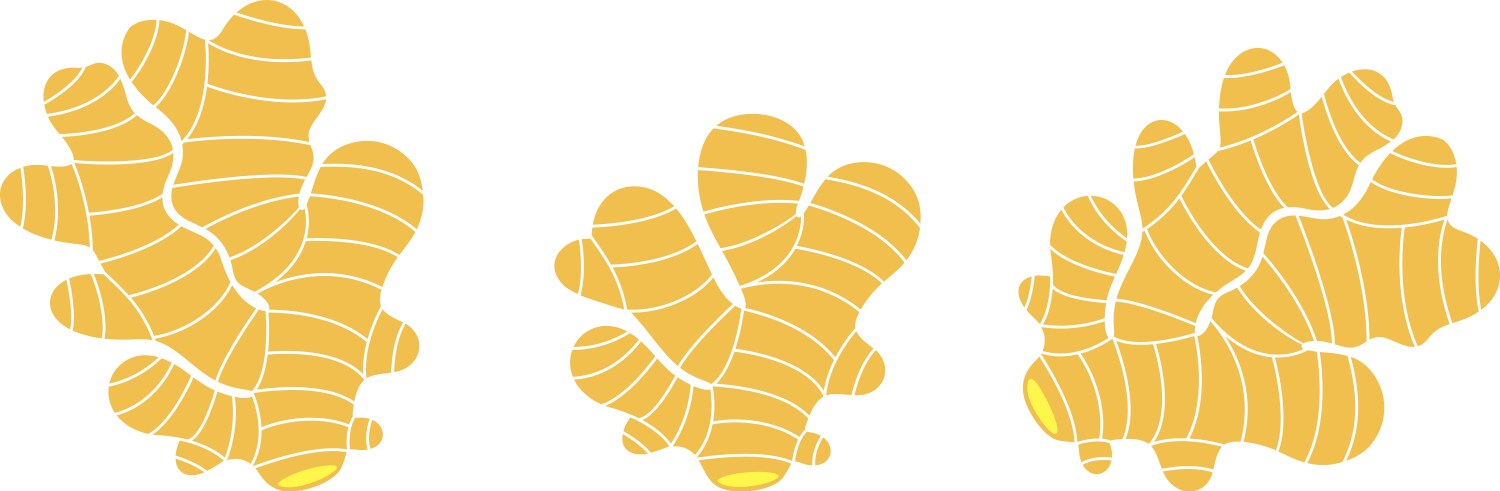 Ginger Royalty Free Vector Image - VectorStock