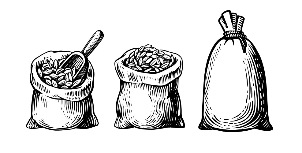 Drawing of Whole Grains Vector Images (over 1,500)