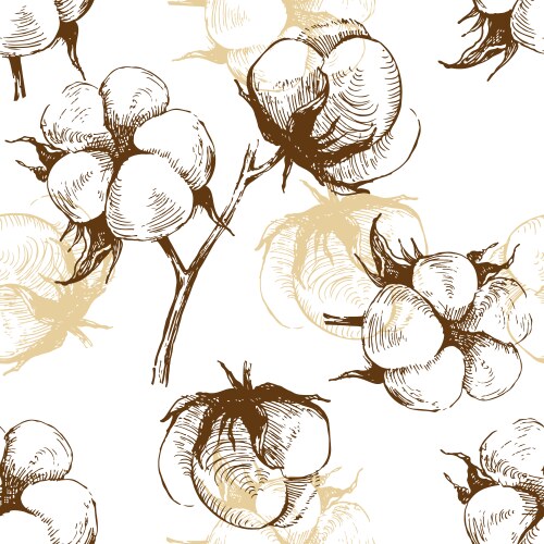 Cotton Plant Vector Images (over 7,000)