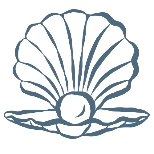 Sea Shell Line Art Vector Vector Images (over 8,600)