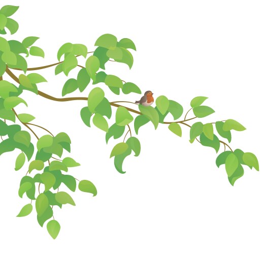 Tree branch with bird cage and two birds Vector Image