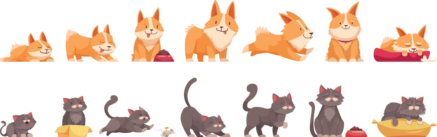 Cat growth stages composition Royalty Free Vector Image