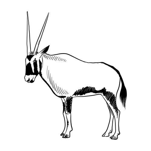 Cute scimitar oryx animal cartoon Royalty Free Vector Image