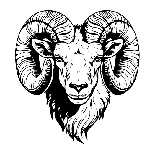 Farm ram face hand drawn sketch Royalty Free Vector Image