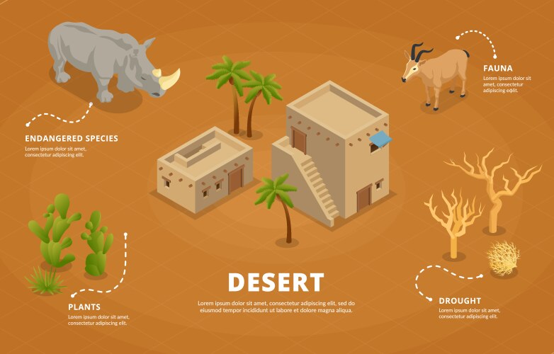 Desert landscape isometric infographics poster Vector Image