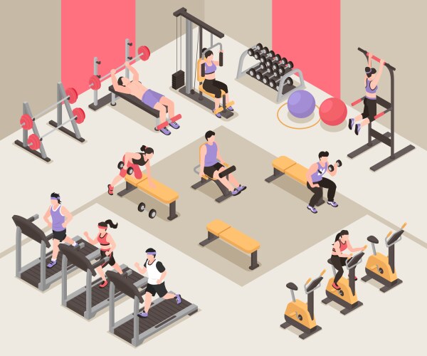 Isometric gym fitness flowchart Royalty Free Vector Image