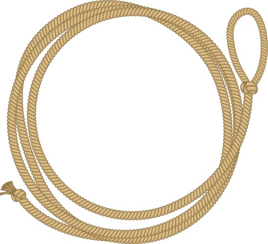 Rope lasso on wood background Royalty Free Vector Image