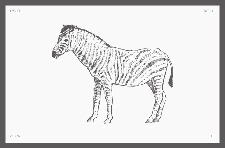 Blue mystery cat pen sketch animal scratch Vector Image