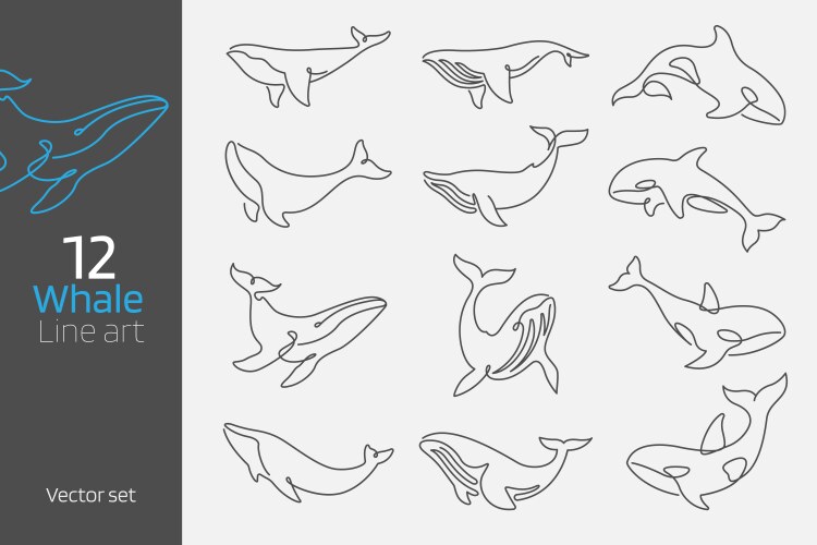 Continuous Line Vector Images (over 150,000)