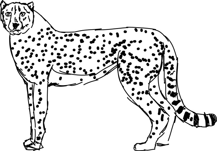 Cheetah Drawing Line Vector Images (over 2,500)