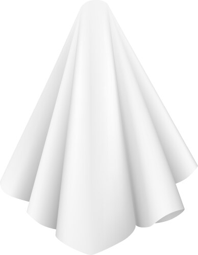 Realistic cloth covered mirror Royalty Free Vector Image