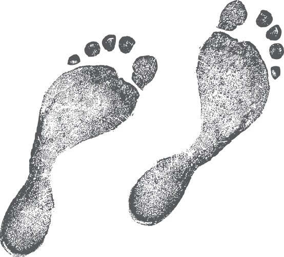Footprints Vector Images (over 66,000)