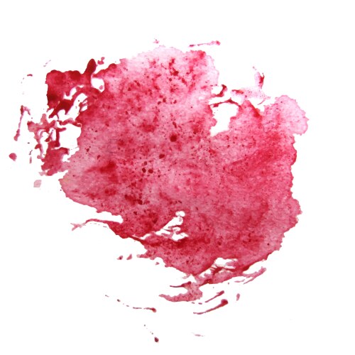 Purple paint splatter background watercolor Vector Image