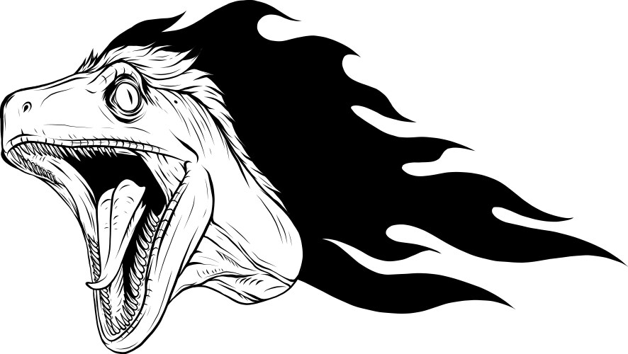 Raptor Vector Images (over 14,000)