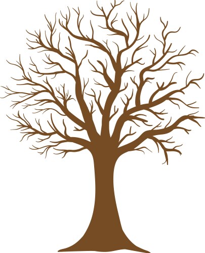 Leafless tree icon design template isolated Vector Image