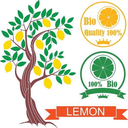 Lemon Tree Vector Images (over 6,500)