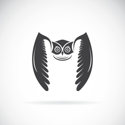 Owl design on a white background wild animals Vector Image