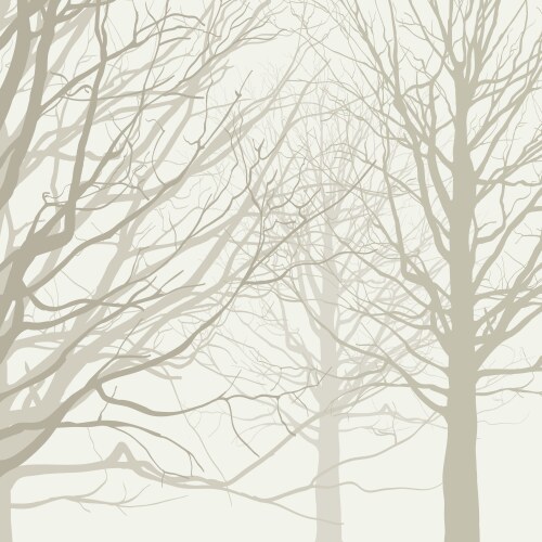 Background with spring trees Royalty Free Vector Image