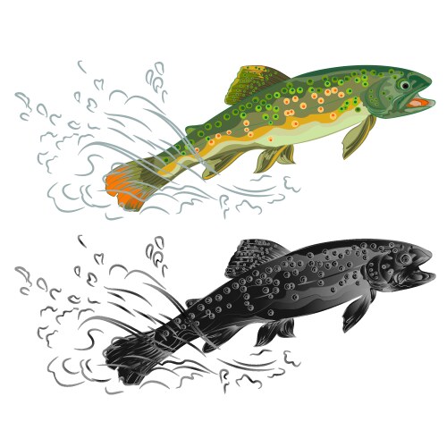 Brown Trout Vector Images (over 180)