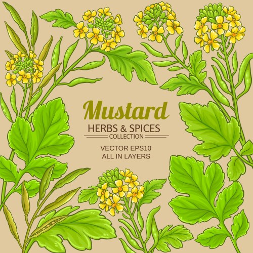 Mustard Color Vector Images (over 7,400)