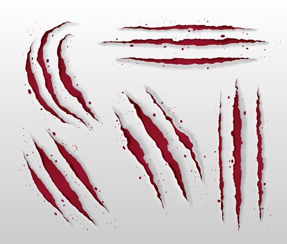 Claw Rip Vector Images (over 1,100)