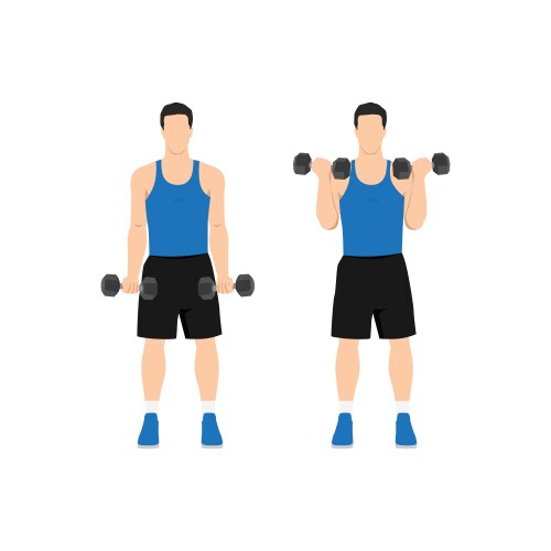 Bicep Curls Vector Images (over 370)