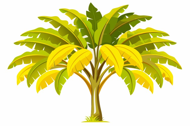 Big banna tree silhouette s Royalty Free Vector Image