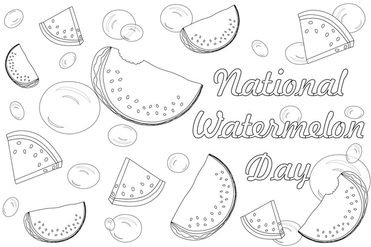 National watermelon day coloring page Royalty Free Vector