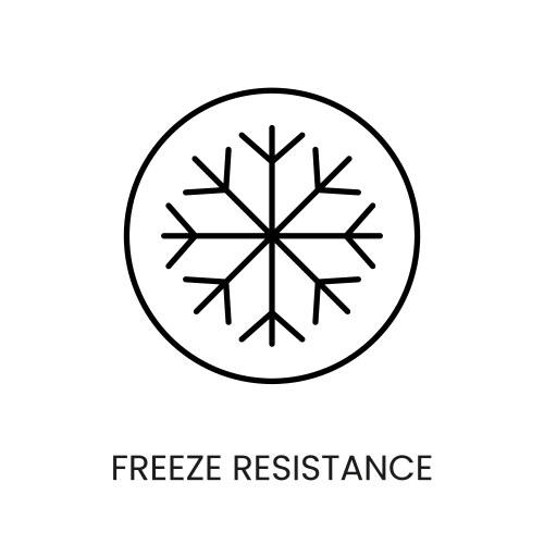 Freeze Vector Images (over 73,000)